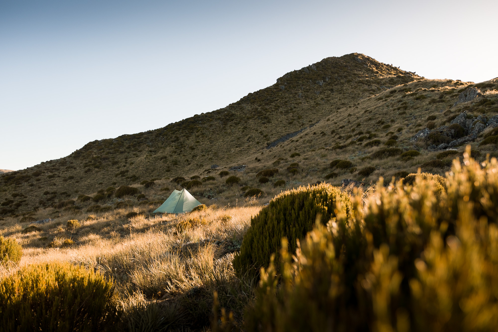 Bald Range • Lightforge Architecture Photography